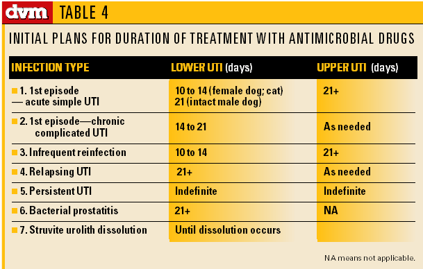 Therapeutic caveats: Difficult urinary tract infections