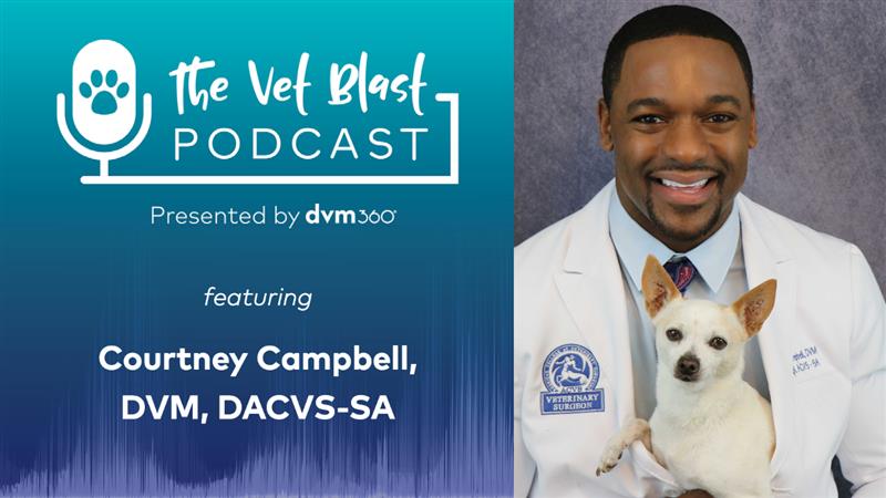 The Vet Blast Podcast celebrates Black History Month with Dr Courtney ...