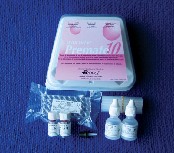 Progesterone Kit