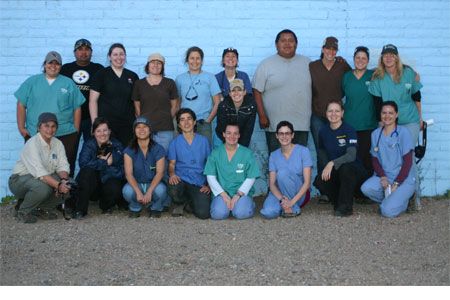 Learn more about Rural Area Veterinary Services
