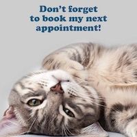 MVC 2018: Why-and How-to Implement Forward Booking