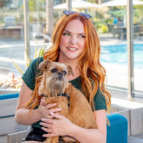 Free webinar: Navigating technology in veterinary practice during COVID-19