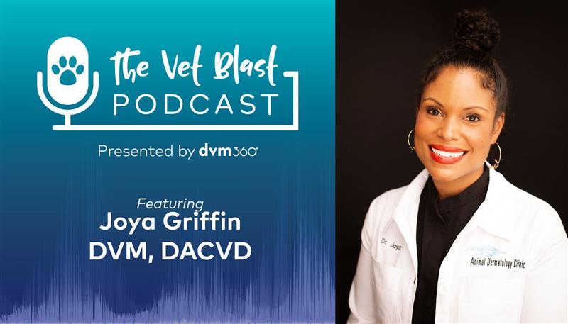 Purring and pruritic: How to avoid a “catopy” catastrophy