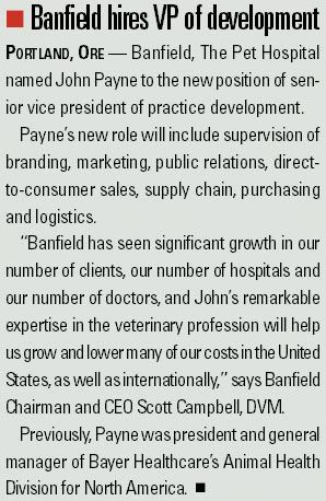 CVC expects record crowd