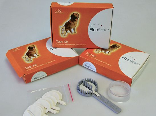 Flea Test