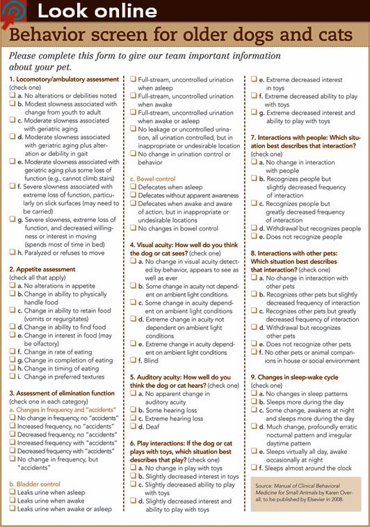 Keep track of behavioral changes in senior pets