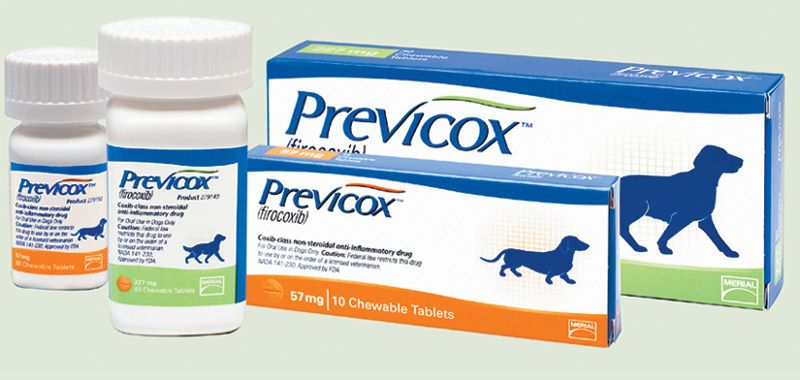 Merial introduces Previcox for canine pain management