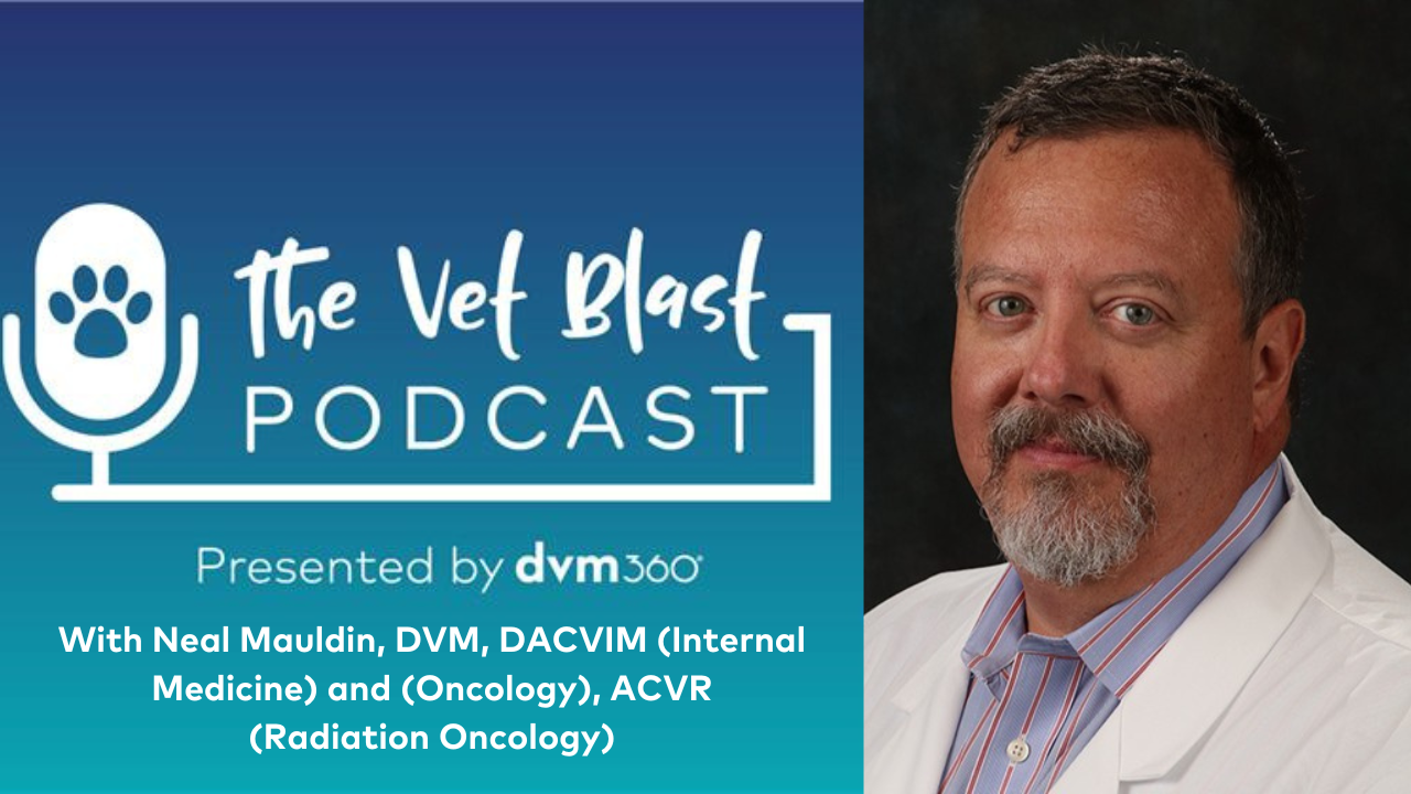 Advances in Radiation Therapy: Treating Cancer in the Age of Star Trek