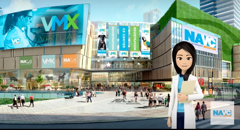 VMX 2020—New product roundup