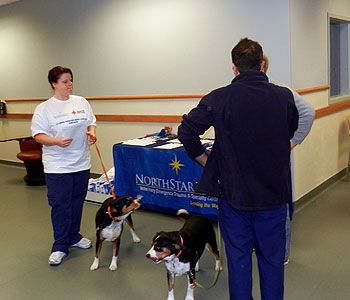 4 steps to a successful veterinary practice blood drive