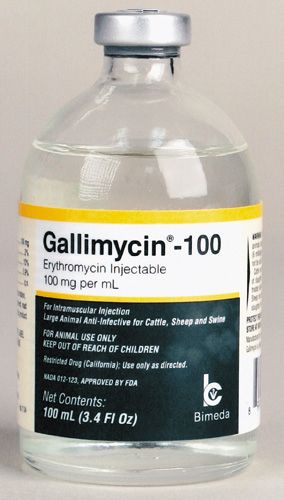 Anti-infective injectable Gallimycin-100 now available | dvm360