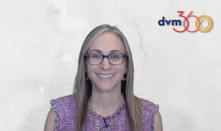 3 categories of inappetence in dogs