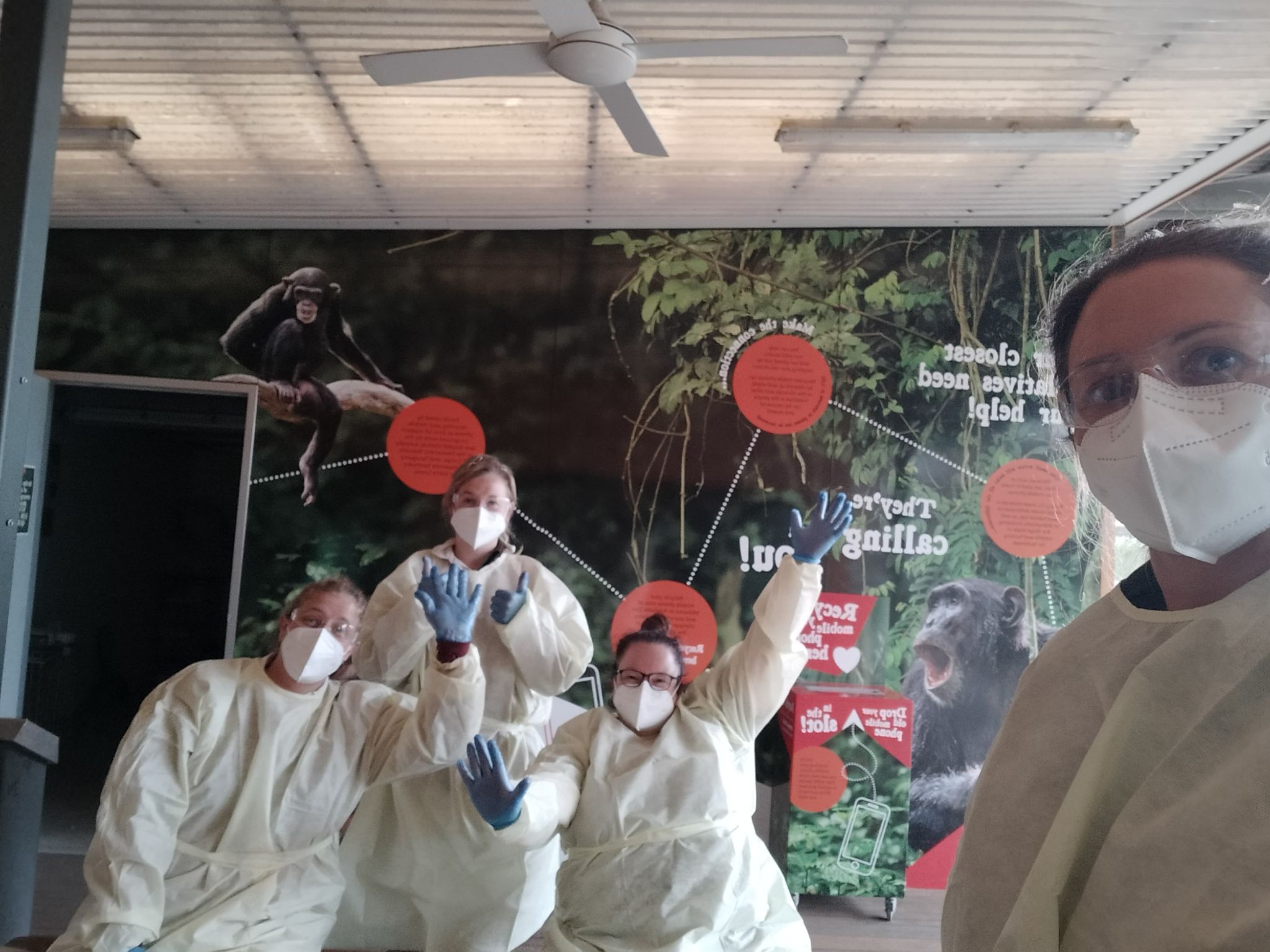 Veterinary scene Down Under: Respiratory virus outbreak in zoo ...