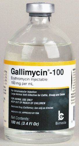 Anti-infective Injectable