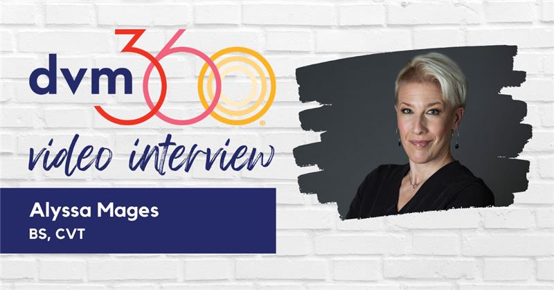 Alyssa Mages, BS, CVT, previews her upcoming ACVC lectures