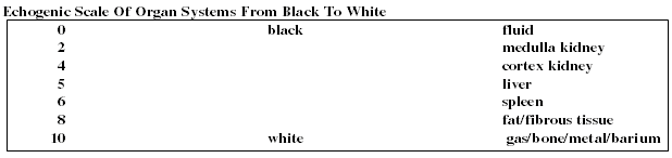 Abdominal viscera: disease processes defined with radiology and ...