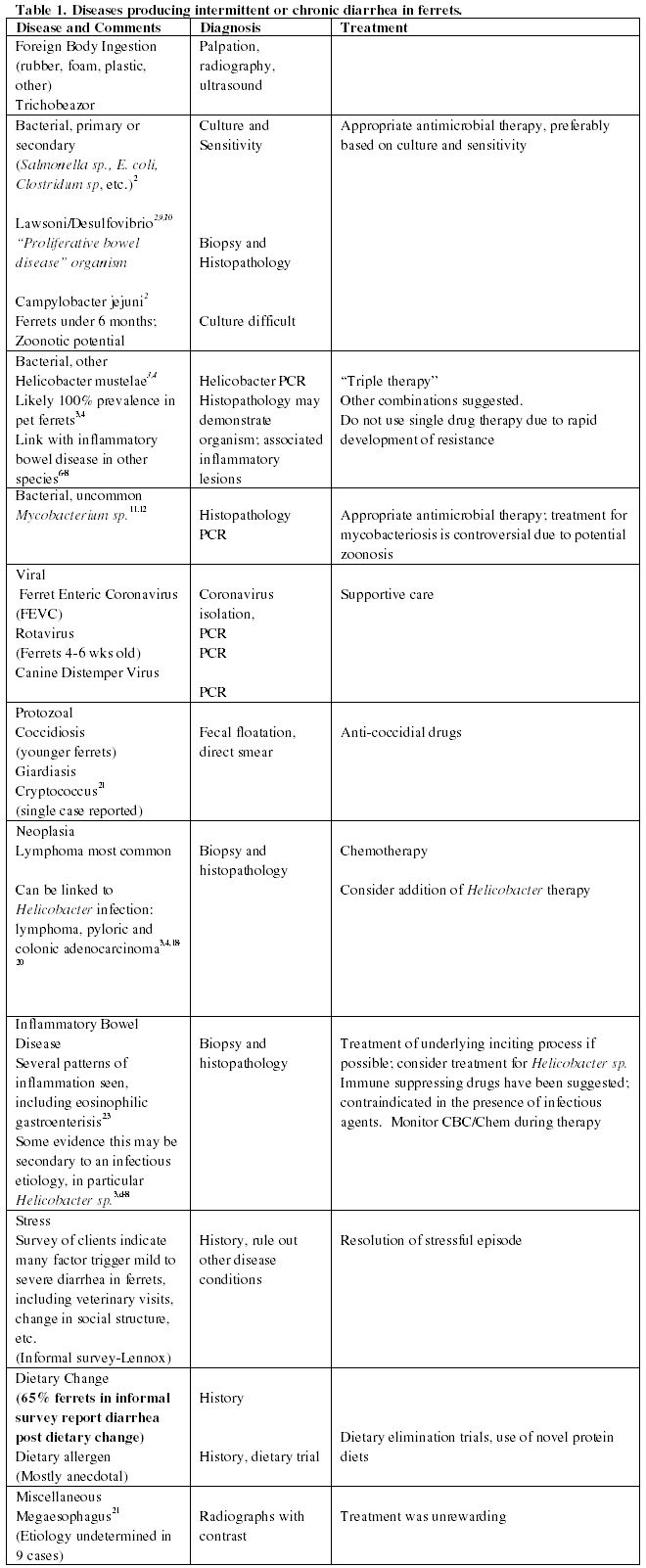 Working up gastrointestinal disease in the ferret (Proceedings) | dvm360
