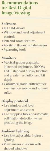 Getting the most out of digital image viewing
