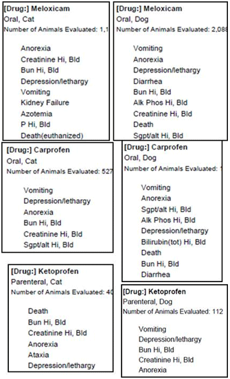 NSAIDS and cats: what do we know? (Proceedings) | dvm360