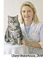 California governor announces California Veterinary Medical Board ...