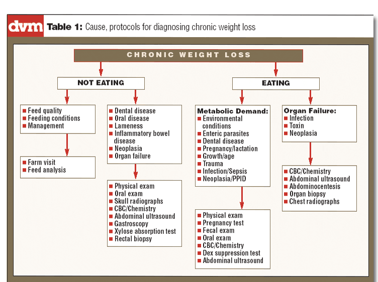 Exercise intolerance, endocrine disorders and chronic weight loss | dvm360