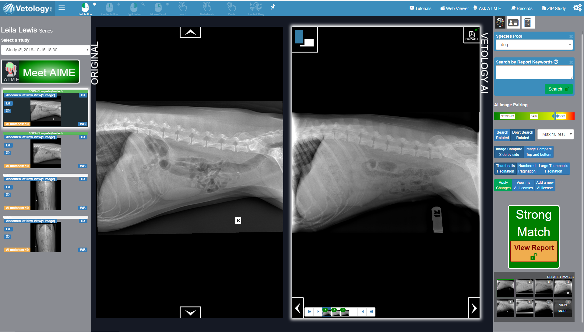 Virtual reality turned veterinary: Augmented interpretation for radiographs