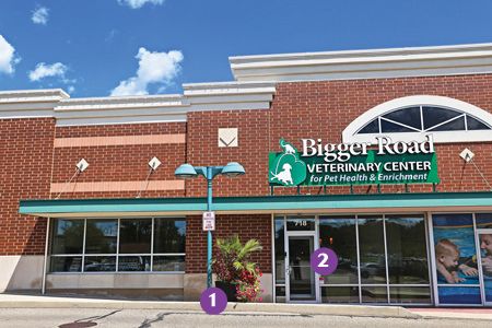 Make veterinary visits a walk in the park for pets