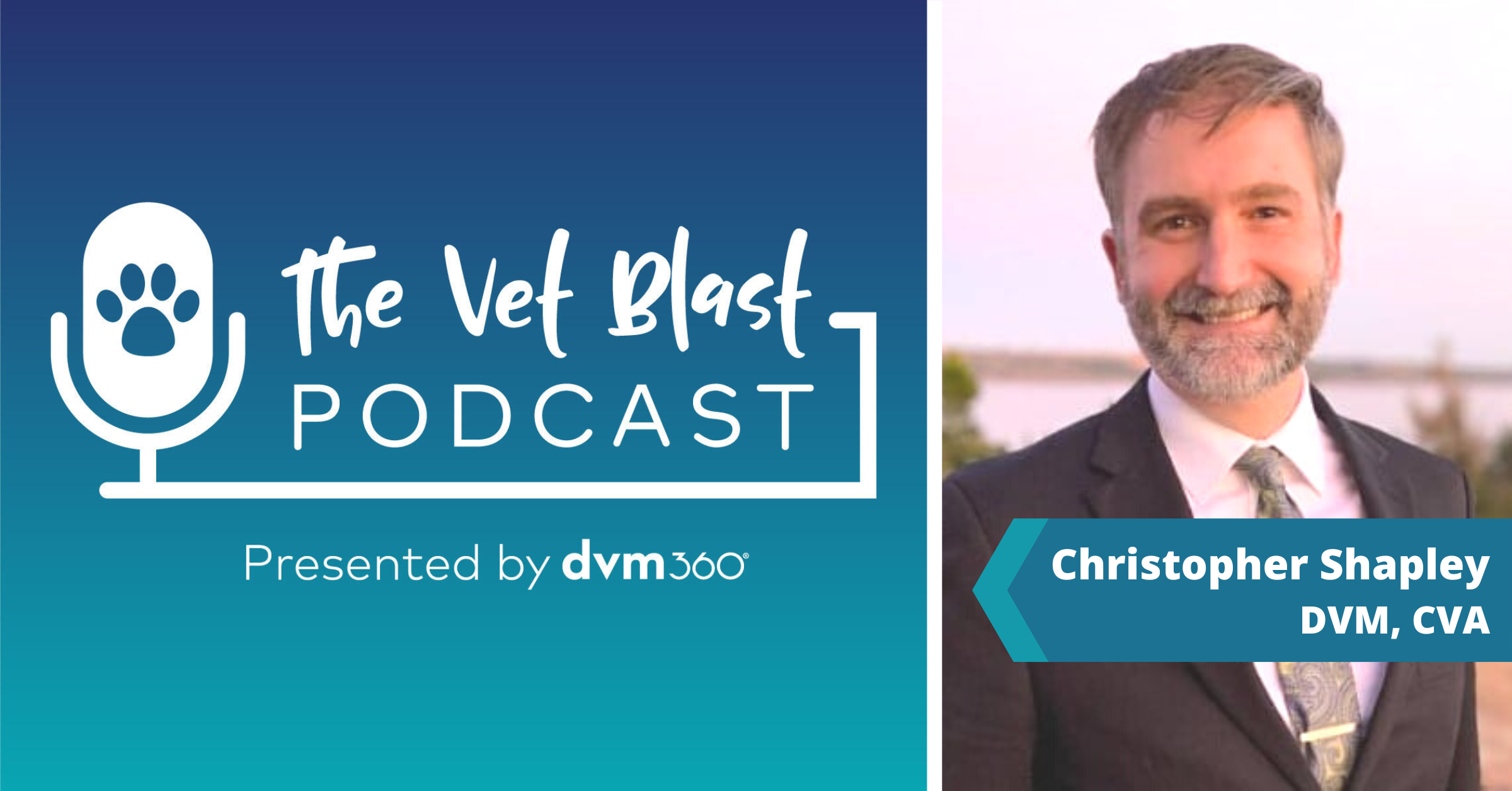 Virtual integrative medicine consults with Christopher Shapley