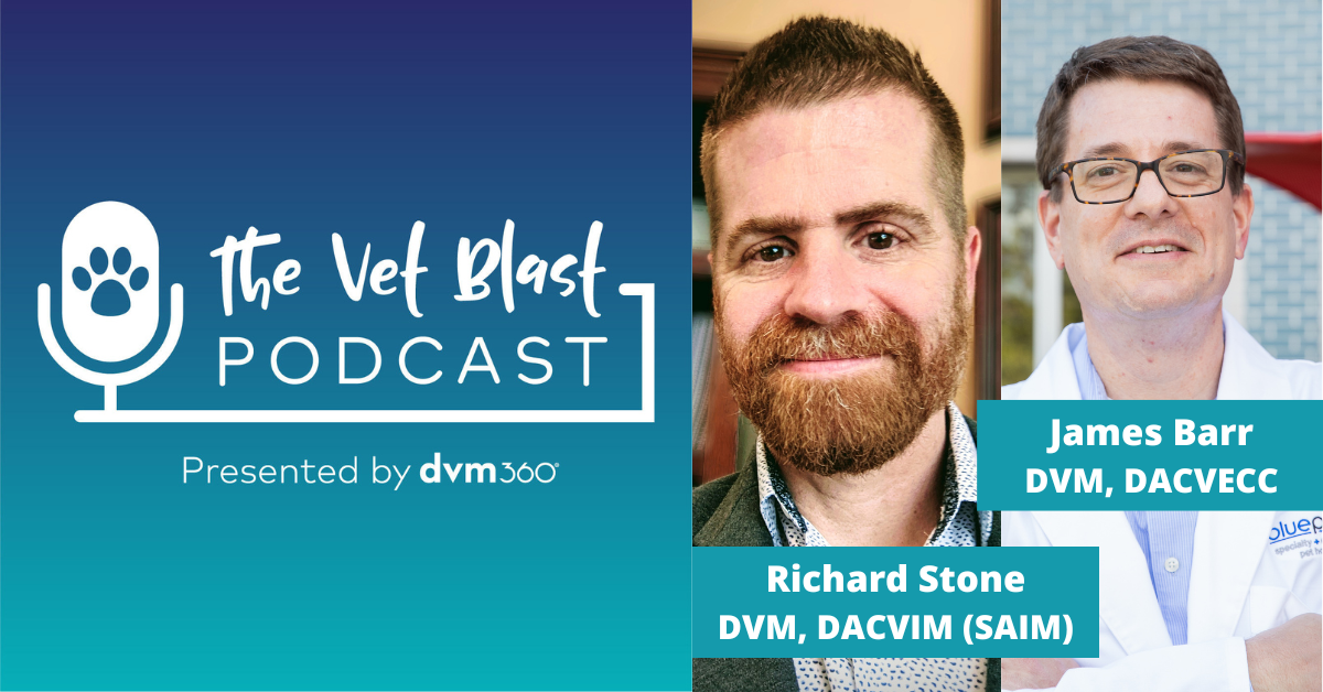 Reduce medical errors with the I-PASS patient handoff strategy