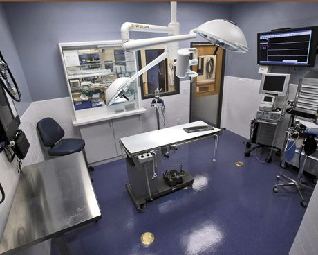 Smart moves to declutter, prettify your practice