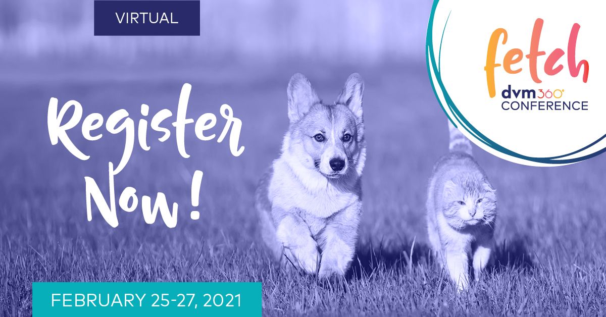 Fetch dvm360 kicks off 2021 with new virtual conference