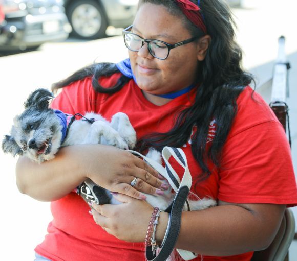 Celebrating National Adoption Week