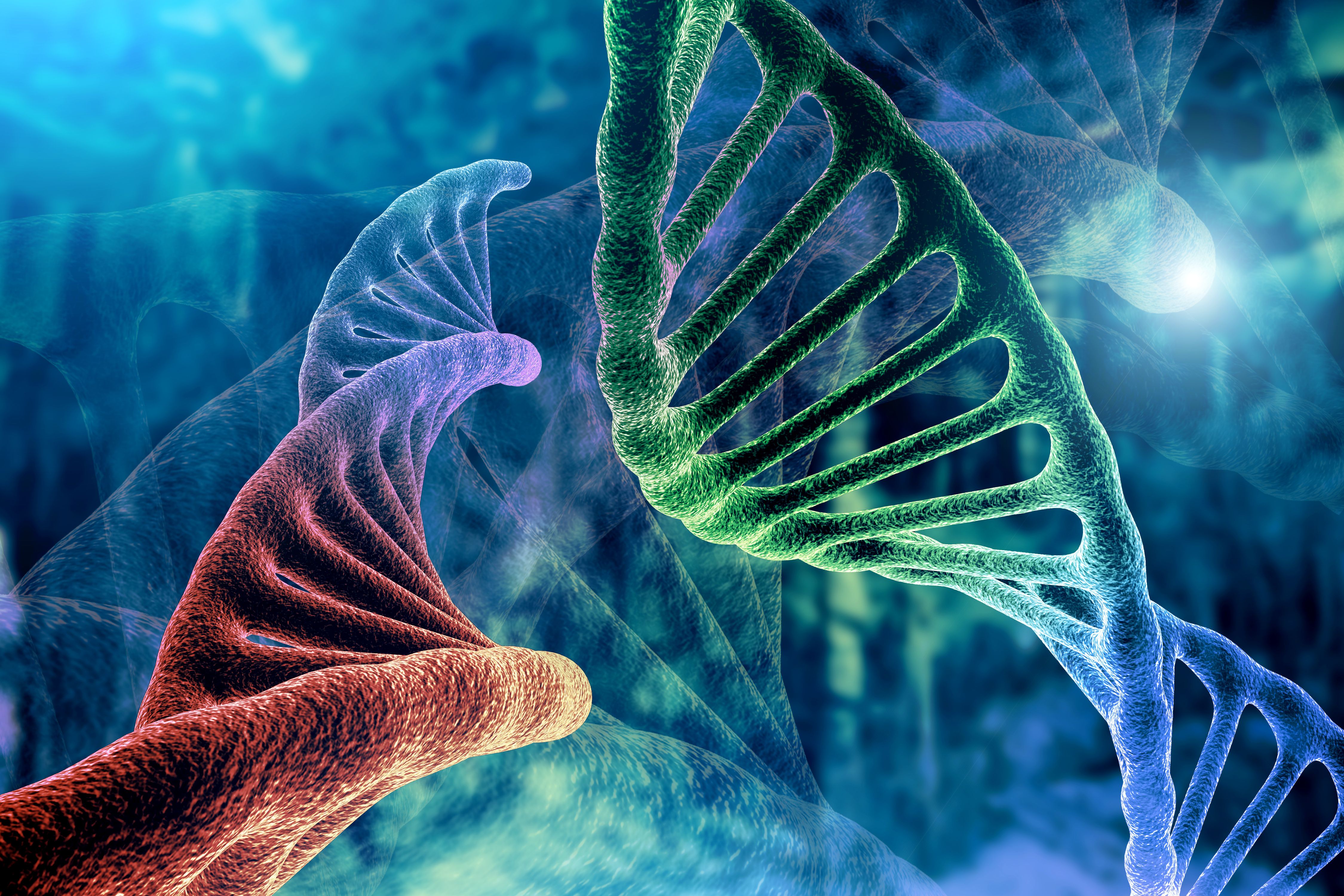 Patient-Informed Study to Evaluate Hunter Syndrome Gene Therapy