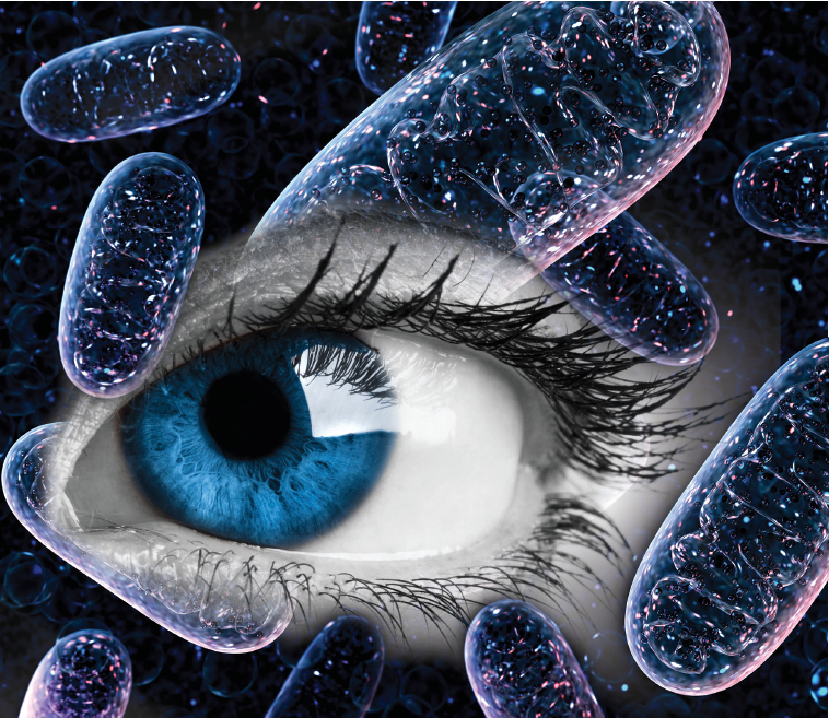 Studies target unilateral gene therapy injection Studies target unilateral gene therapy injection