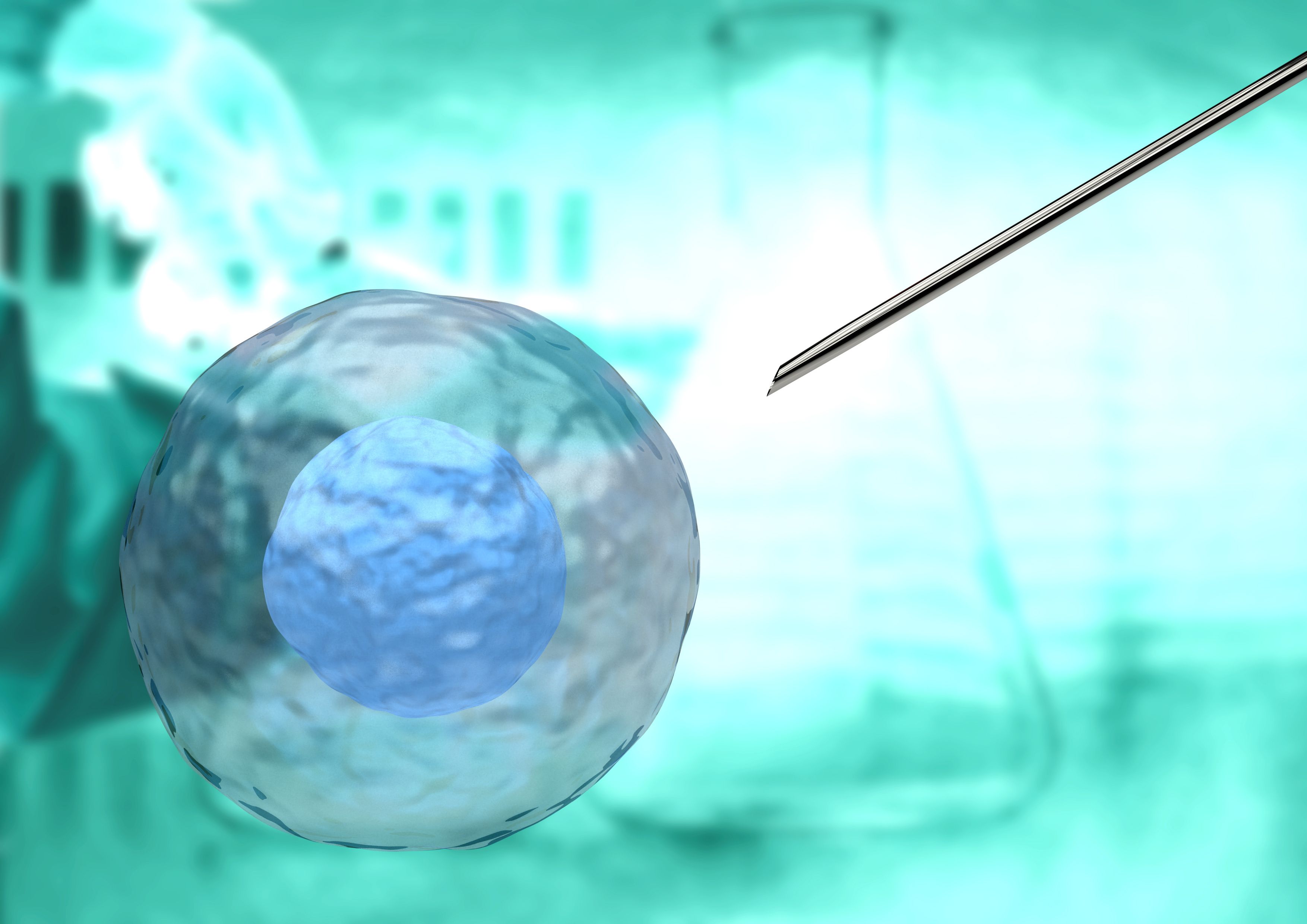 Til Therapy To Be Assessed In Relapsed Refractory Melanoma