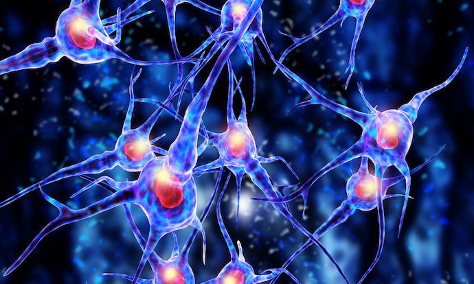 RT001 Demonstrates Arrest of Disease Progression in 2 Patients with INAD