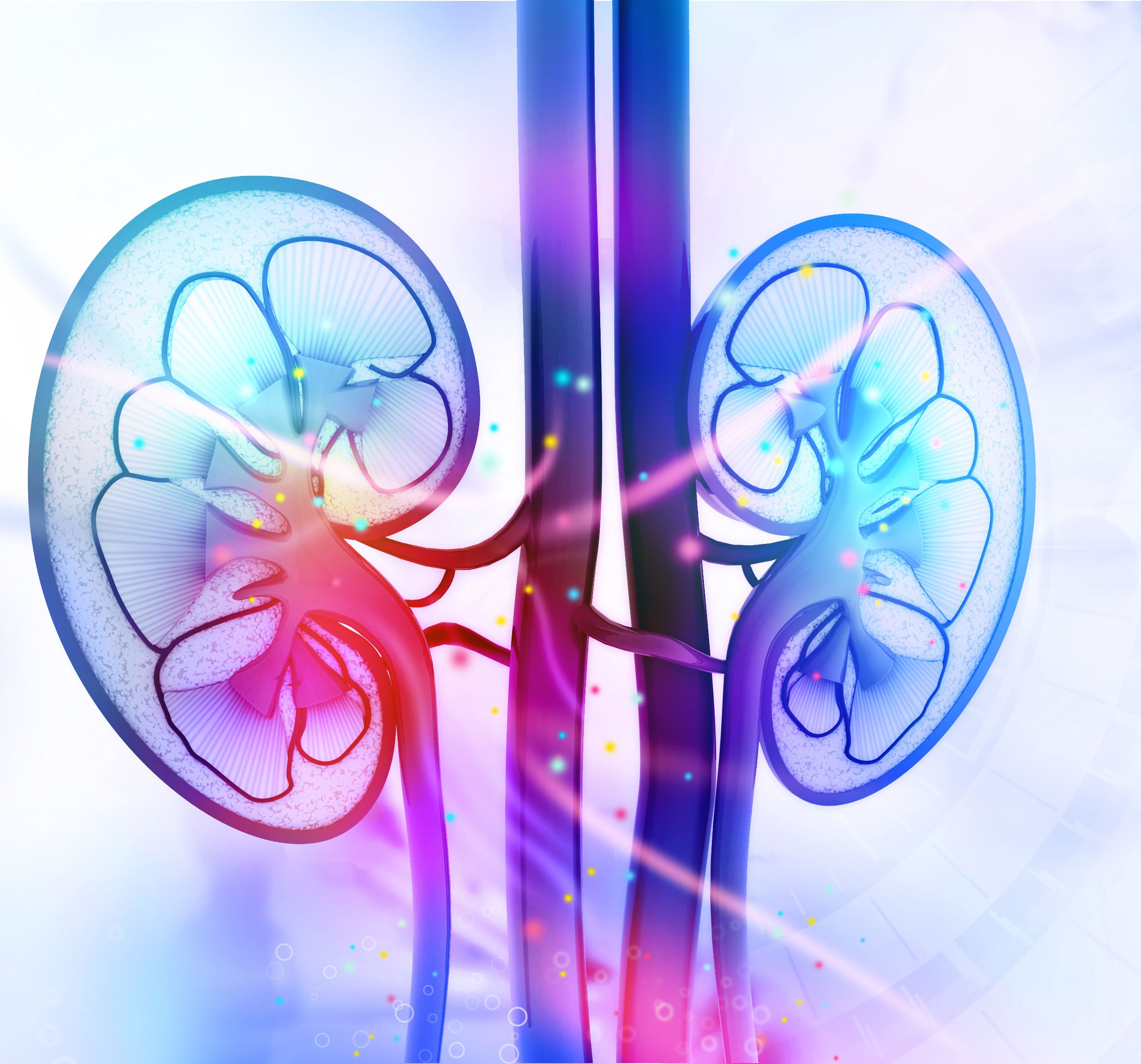 Serum C3 Predicts IgAN Prognosis, Clinical Indicators of Renal Function