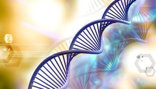 FDA Clears Commencement of INAD Phase 2/3 Clinical Trial