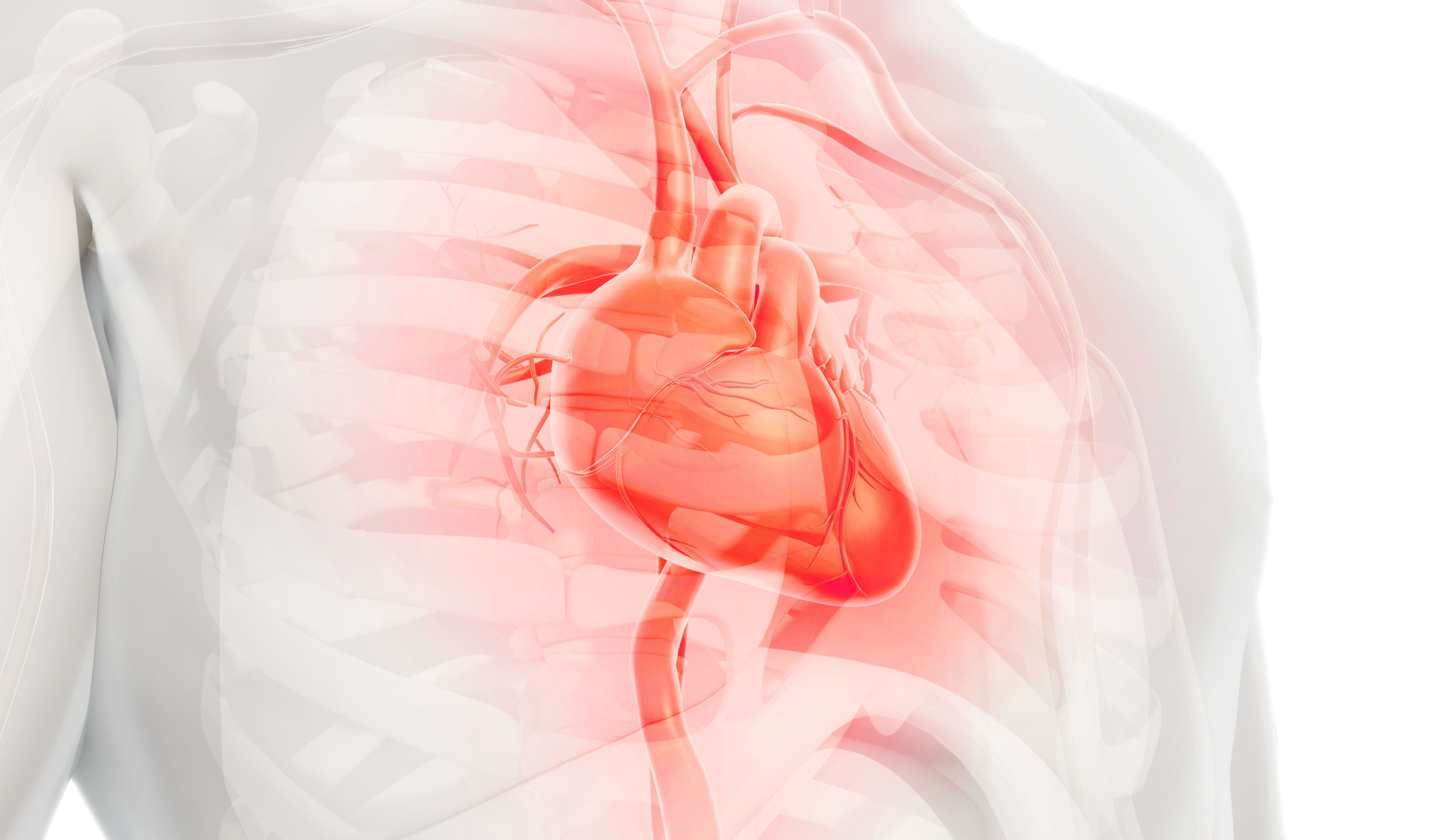 SCAI Releases Updated Shock Classification Statement