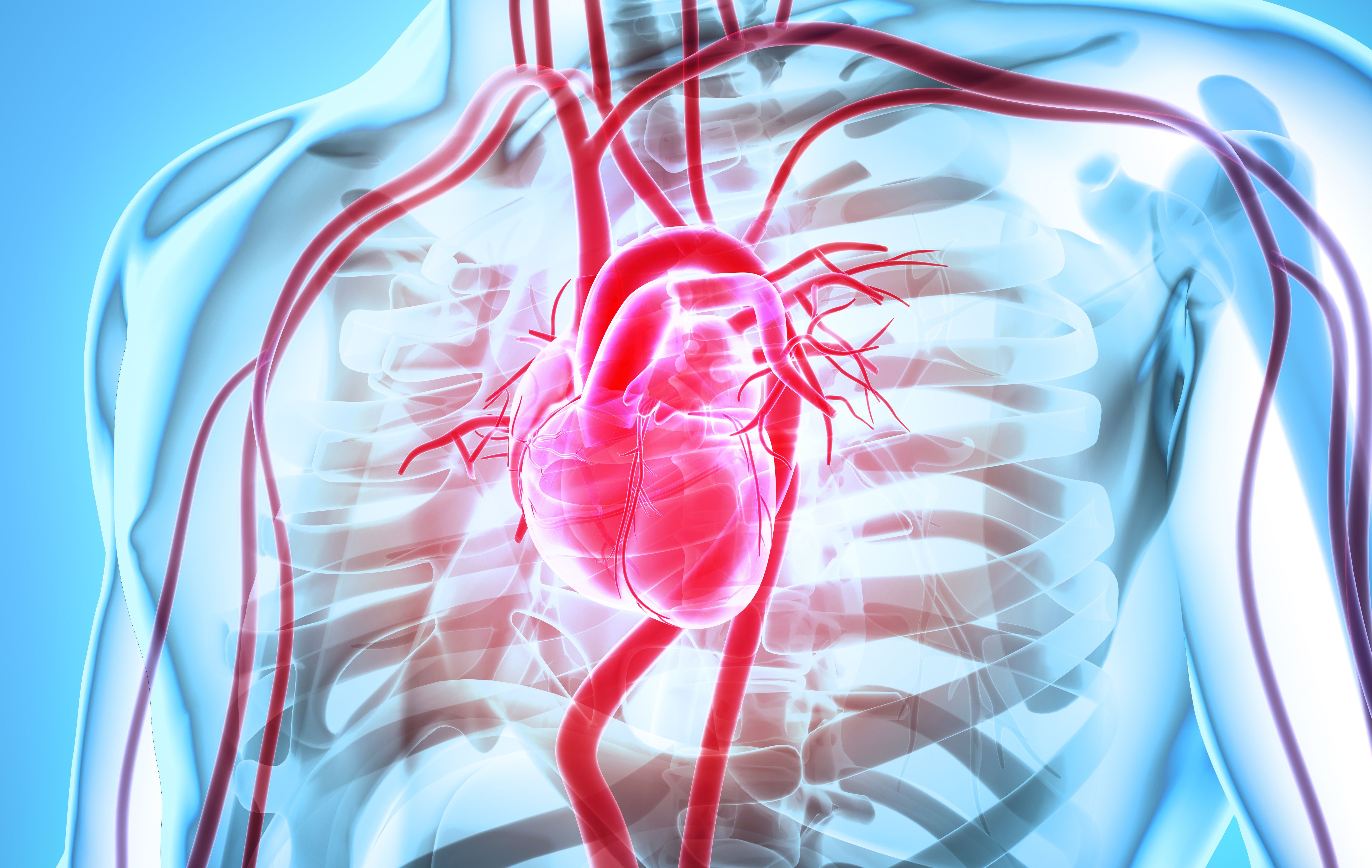 Gregory Weiss, MD: Has the Time Come for a Cardiometabolic Subspecialty?