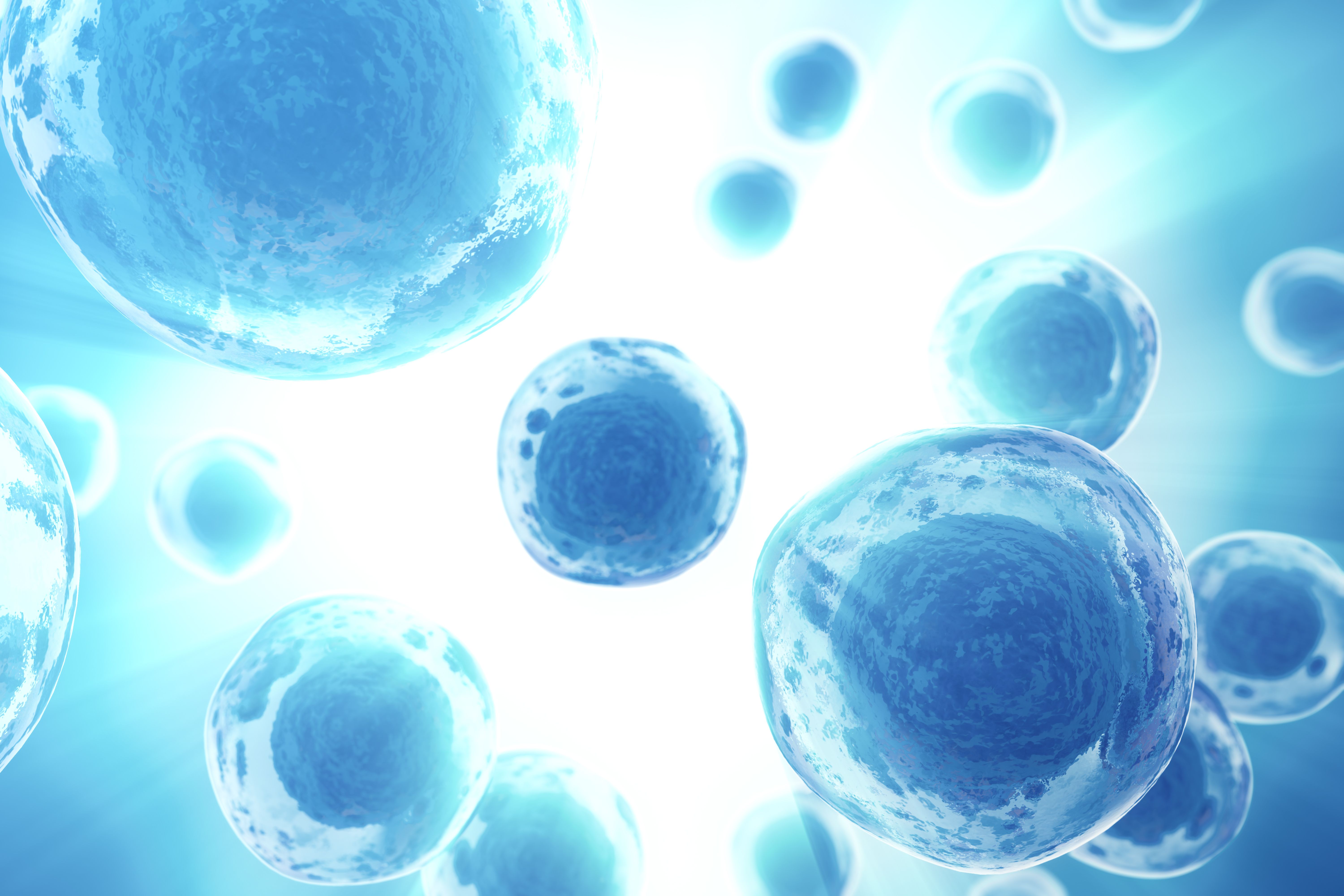 Stem Cell Infusion Shows Promise for Restoring Insulin Production in ...