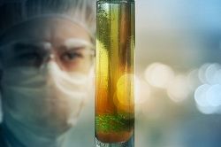 2016 Genentech Rheumatology Pipeline Summarized