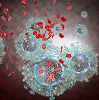 Rapid Initiation of Symtuza for HIV Treatment Shows Promise | HCPLive ...