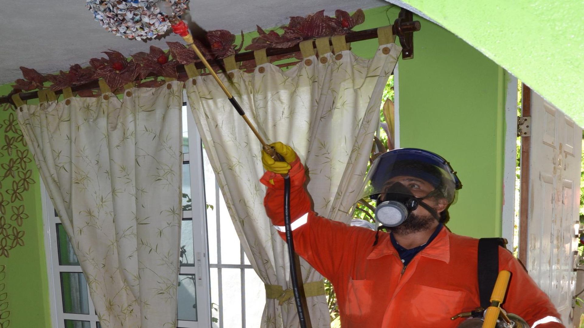 Mutant Mosquitos Make Insecticide-Resistance Monitoring Key to ...