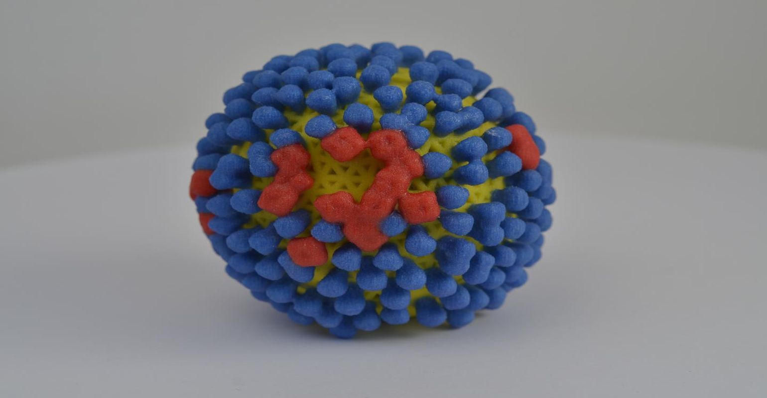Research Offers Clues for Improved Influenza Vaccine Design | Infection ...