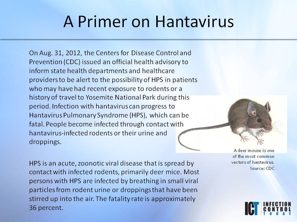 Slide Show: A Primer on Hantavirus