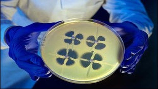 Researchers Report Success in Preventing CRE Colonization and Infection ...