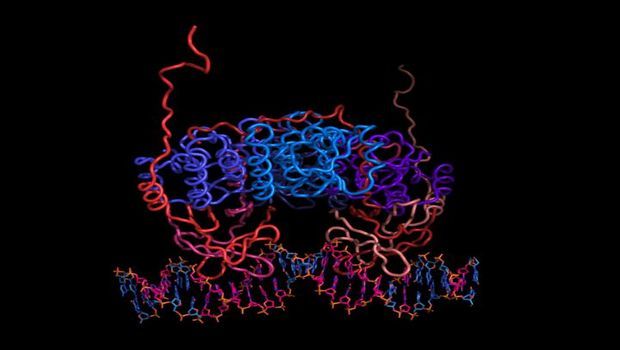 Researchers Reveal the Secret Code Language of Bacteria | Infection ...