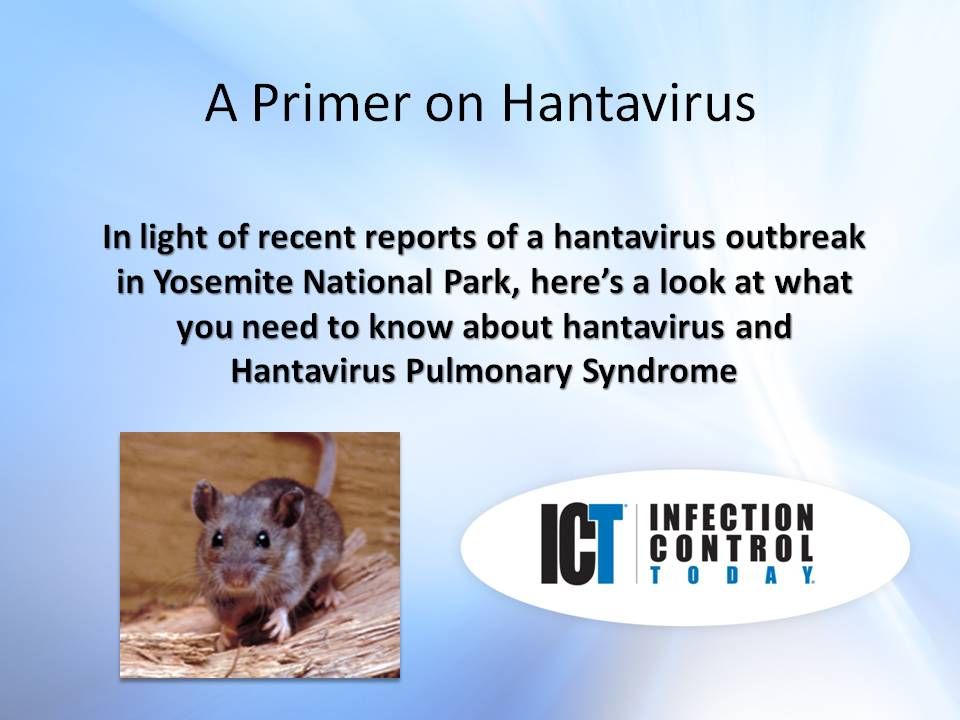 Slide Show: A Primer on Hantavirus