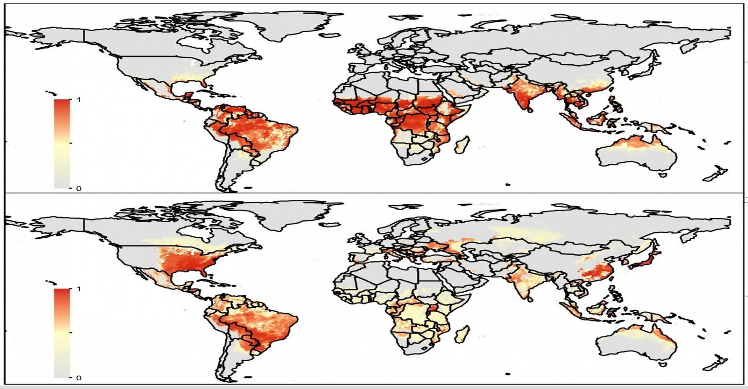 Forecasting Mosquitoes' Global Spread | Infection Control Today